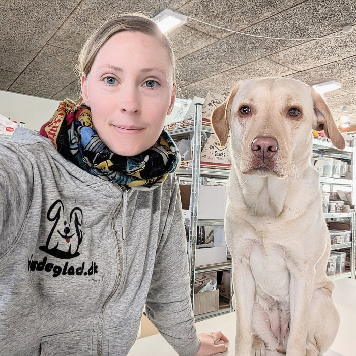 Grand Danois - Læs alt om hunderacen Grand Danois her!