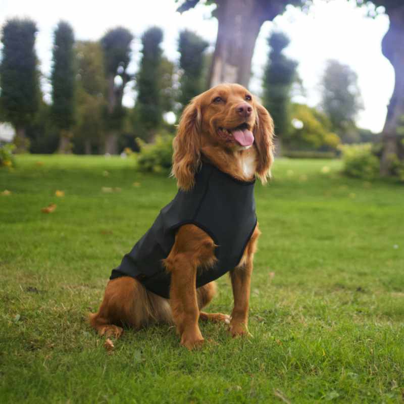 Siccaro Jagthundevest Pro-Tech Vest, Sort - Hundeglad.dk